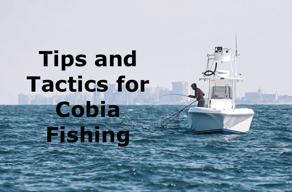 Tips and Tactics for Cobia Fishing– Hunting and Fishing Depot