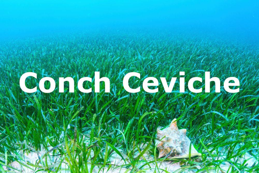 Conch Ceviche | Hunting and Fishing Depot