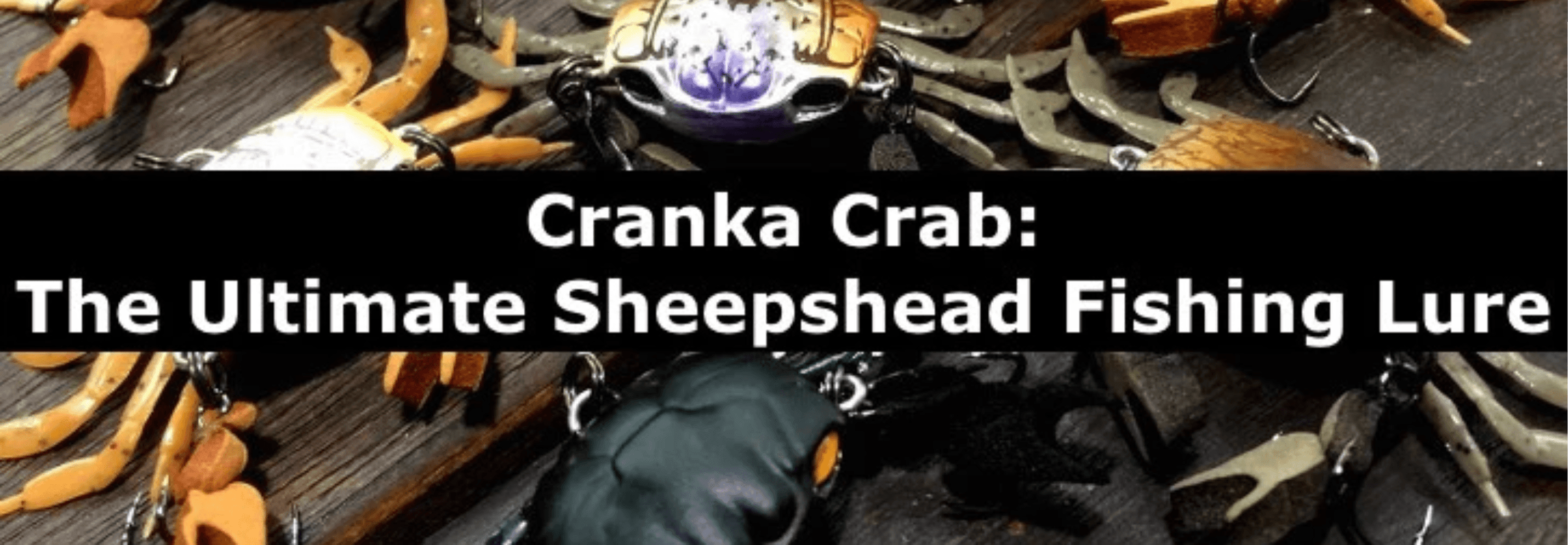 Cranka Crab: The Ultimate Sheepshead Fishing Lure– Hunting and Fishing ...