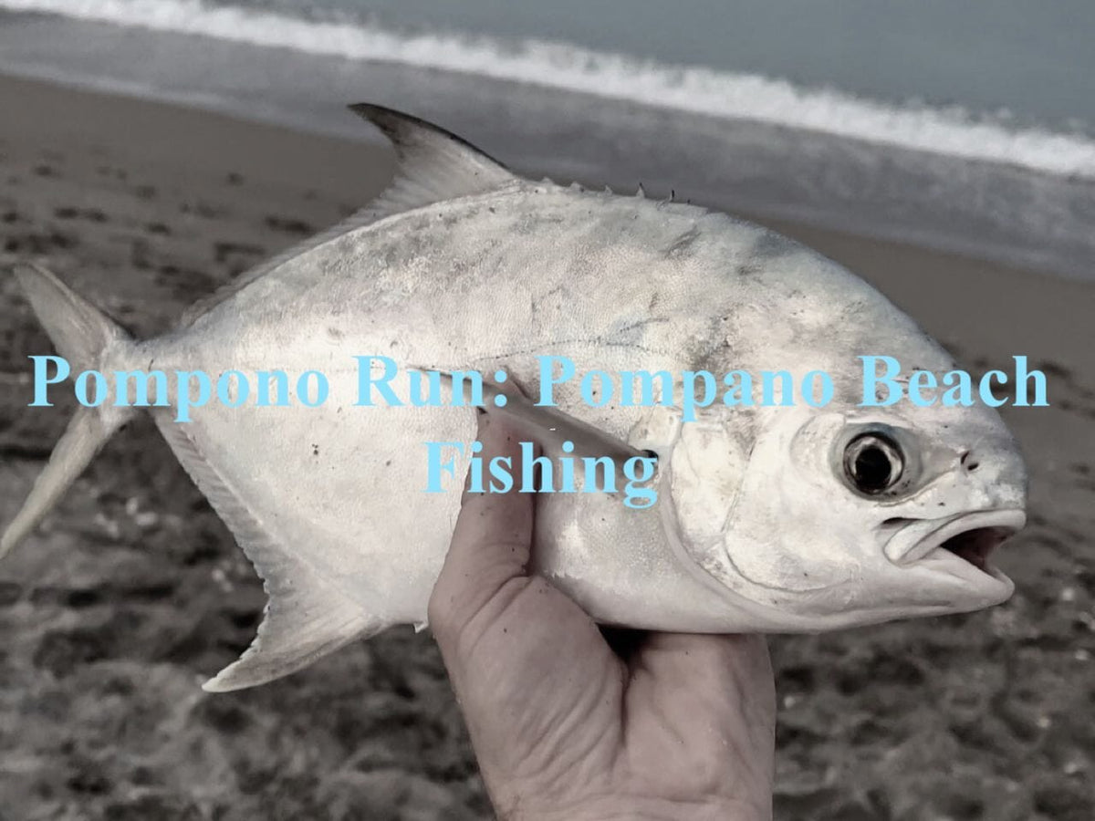 Pompono Run: Pompano Beach Fishing– Hunting and Fishing Depot
