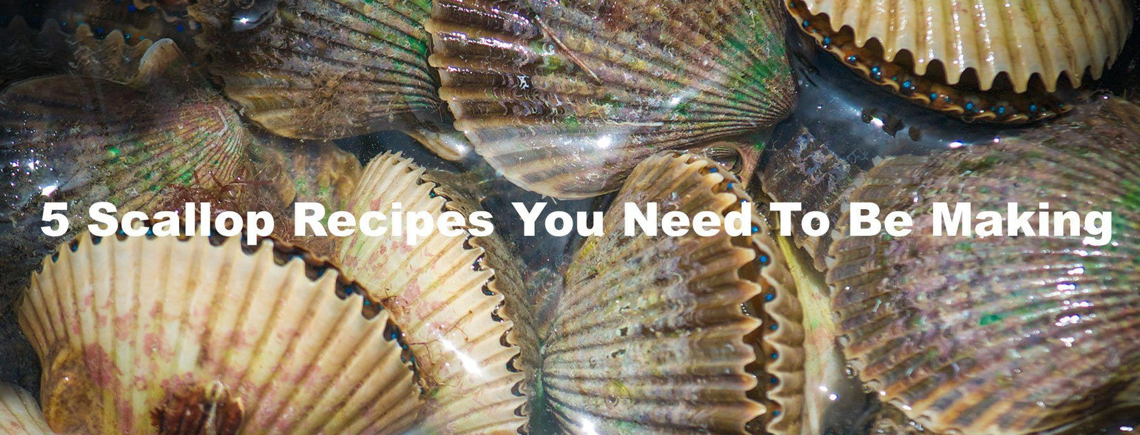 5 Scallop Recipes You Need To Be Making– Hunting and Fishing Depot