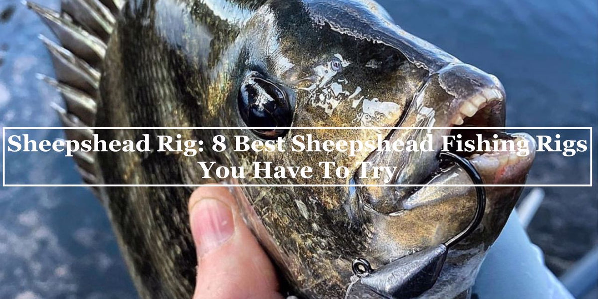 Sheepshead Rig: 8 Best Sheepshead Fishing Rigs– Hunting and Fishing Depot