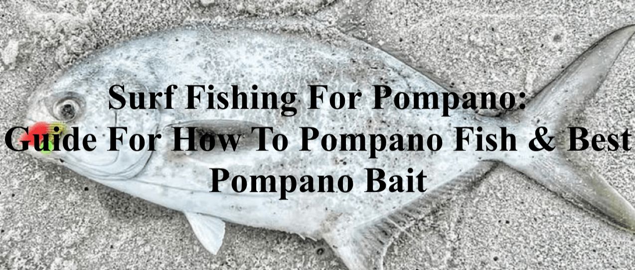 Surf Fishing For Pompano: How To Pompano Fish & Best Pompano Bait ...