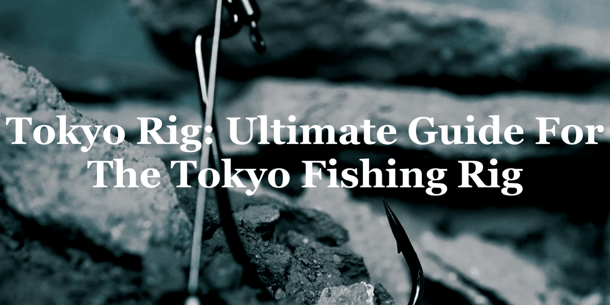 Tokyo Rig: Ultimate Guide For The Tokyo Fishing Rig– Hunting and ...