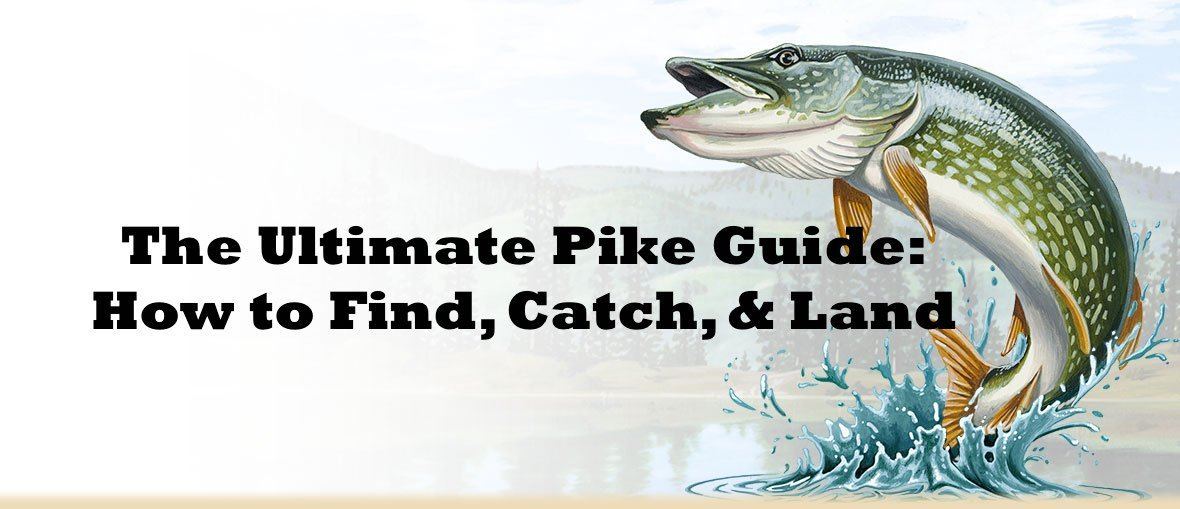 Pike Fishing Guide: How To Find, Catch and Land Pike– Hunting and ...
