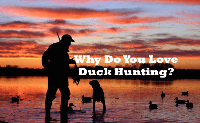 Duck Hunting: The Love For Everything Waterfowl– Hunting and Fishing Depot