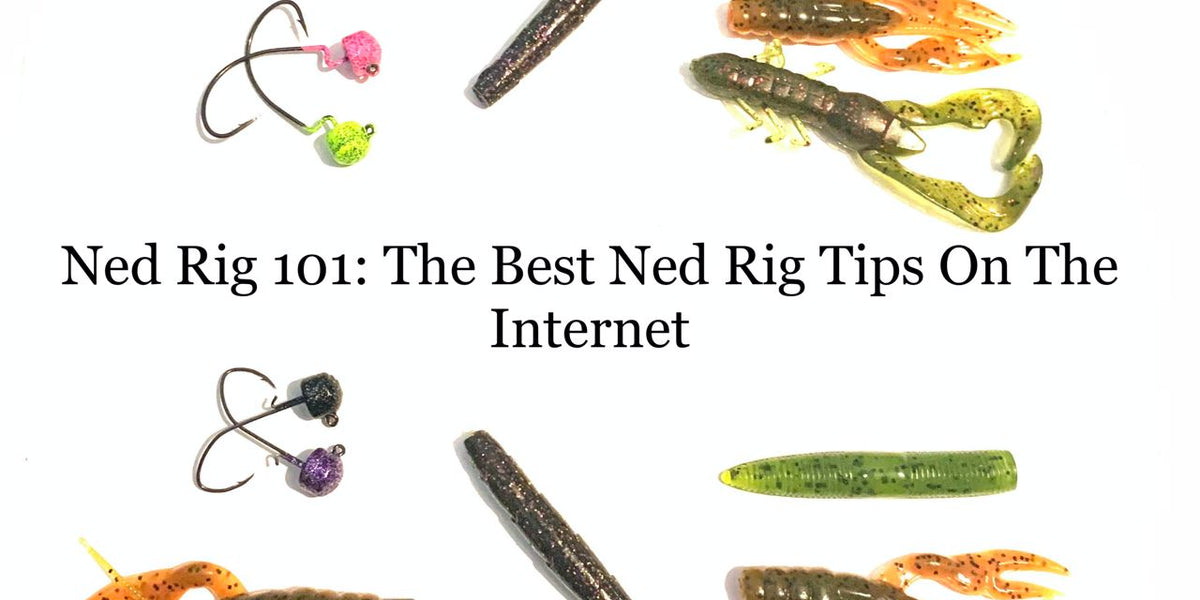 Ned Rig 101: The Best Ned Rigging Tips On The Internet– Hunting and ...